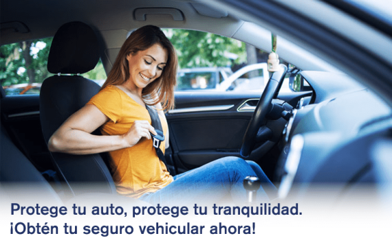 Seguro Vehicular - Gestión Segura